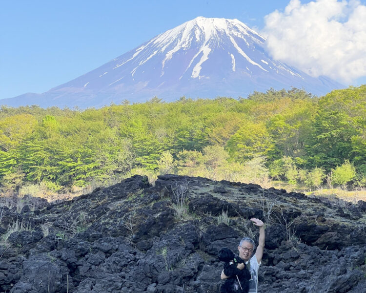 Japan Hidden Jems – OpenGate